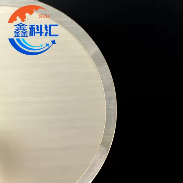 Custom SiC Ceramic Stepped Disc for High-Temperature Semiconductor ...